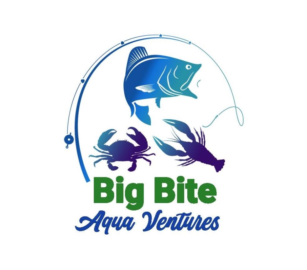 Rypaci | Affordable and Reliable Online Services for Your Needs